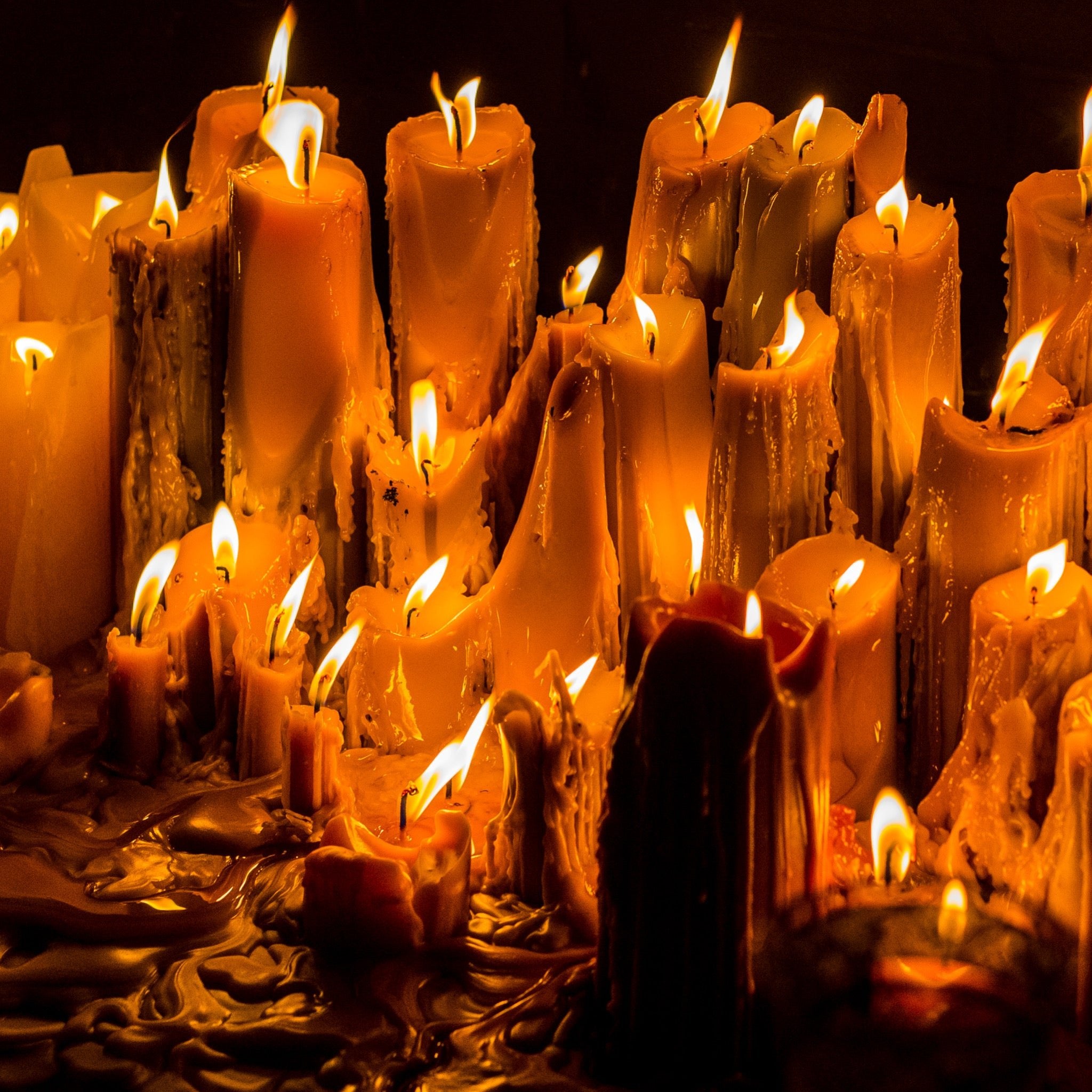 Ulalume Botanical Revelry Candles – Into The Black