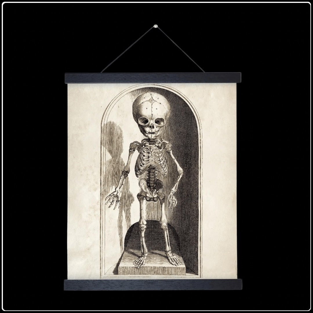 Vintage Anatomy Small Skeleton - Into The Black